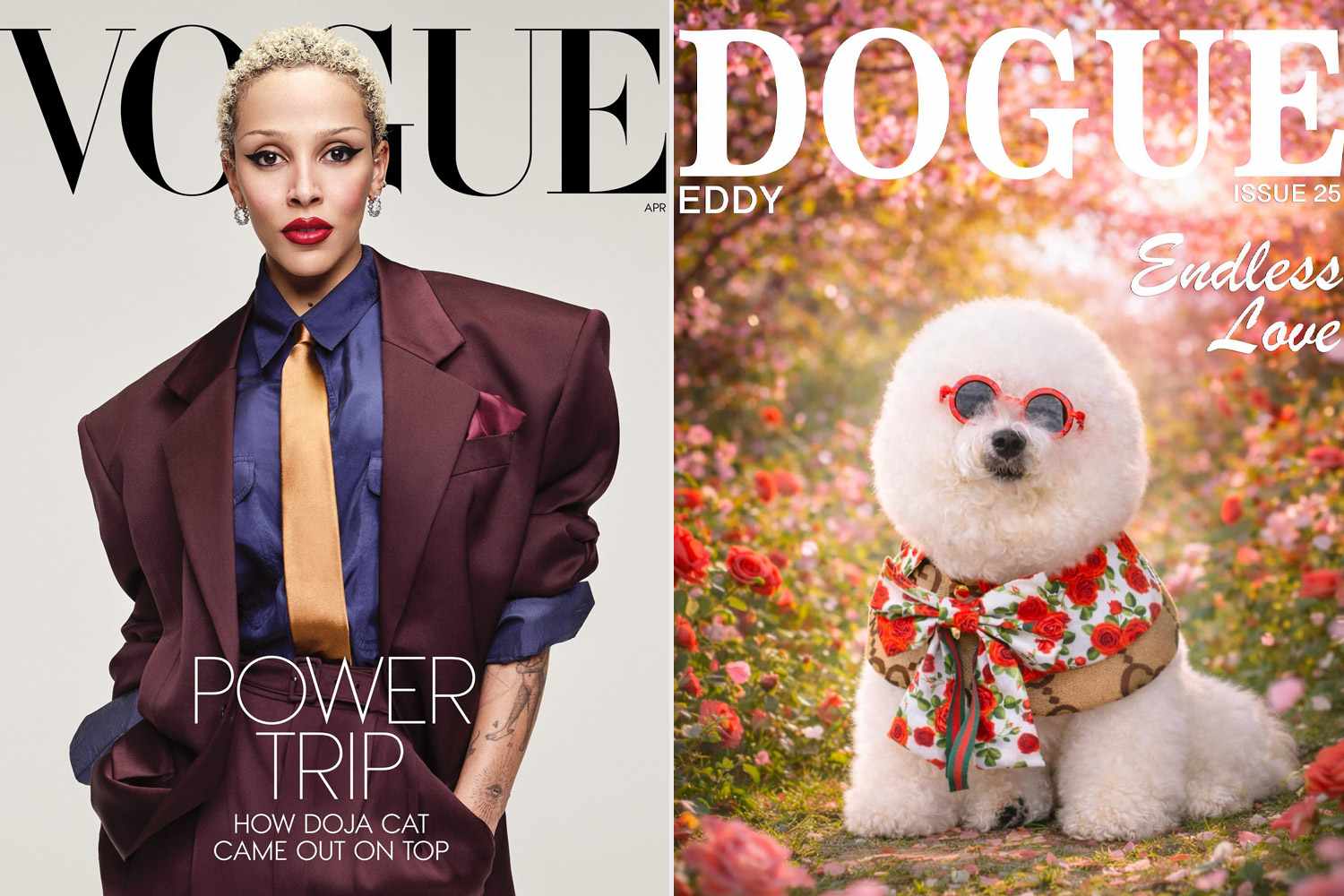 Vogue publisher suing parody dog fashion magazine Dogue