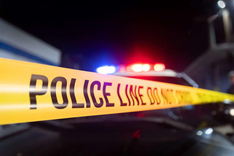 Michigan State Police investigate suspected human remains found in ...