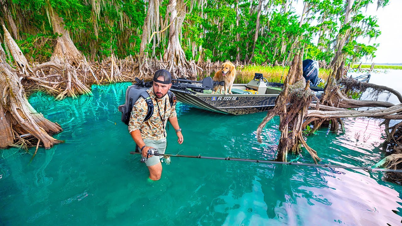 Searching for giant fish in a remote lagoon!