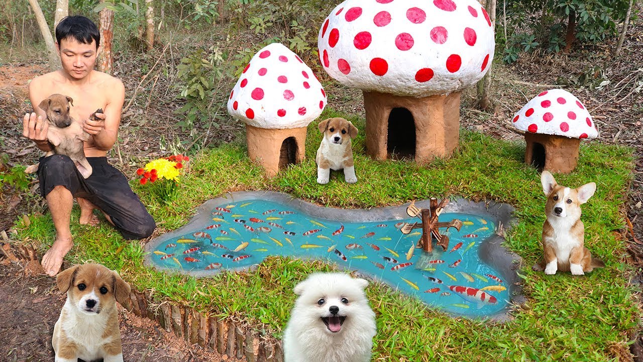 Building a mud house for pups
