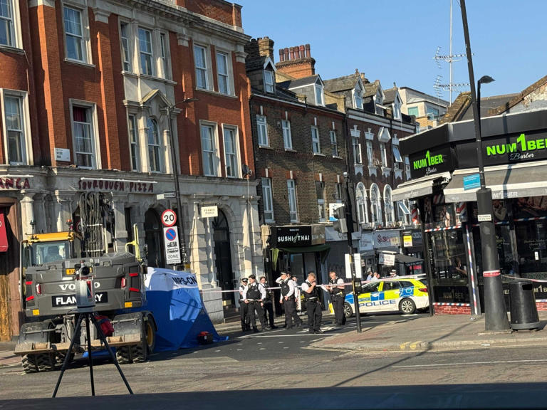 Children screamed as they saw man crushed to death by 20 tonne digger ...