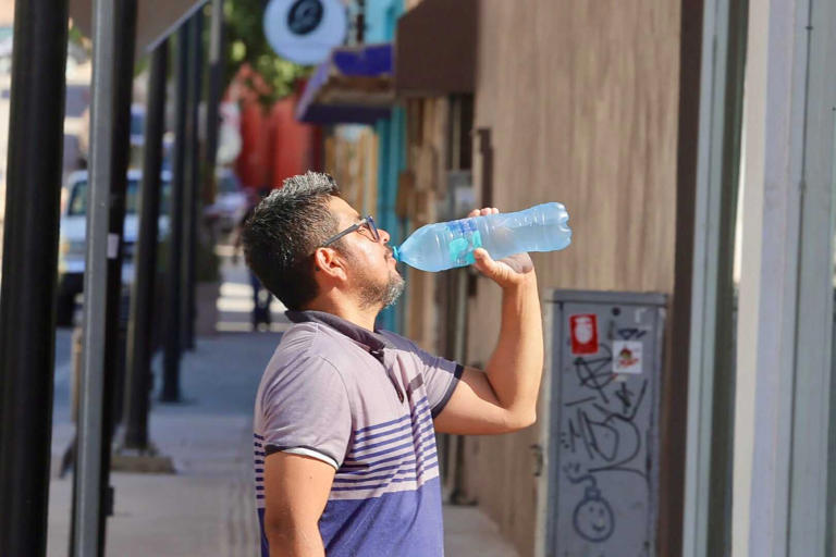 ¿Se dice “el calor” o “la calor”? La RAE aclaró cuál es la forma ...