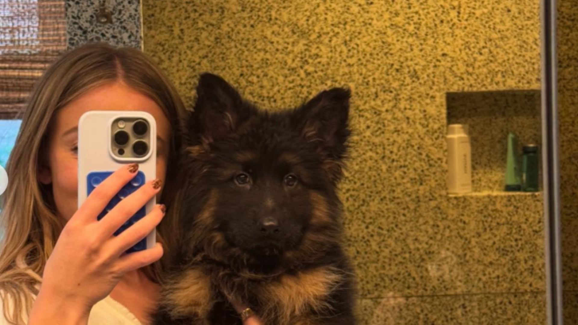 « Il est trop mignon » : le chien de Sydney Sweeney fait fondre les ...