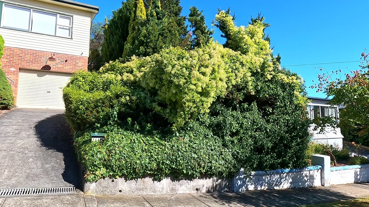 When nature takes over