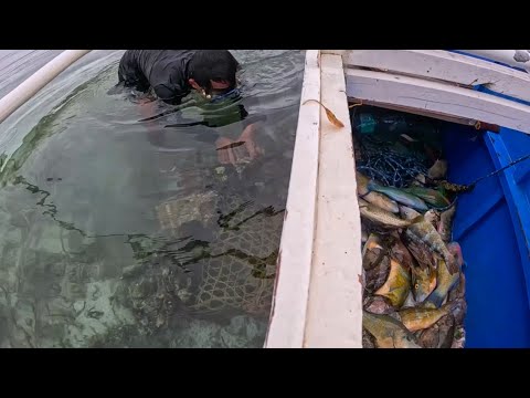 I found ocean wonders beyond belief!