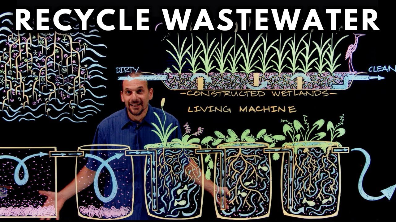 I transformed waste water into garden magic 🌱