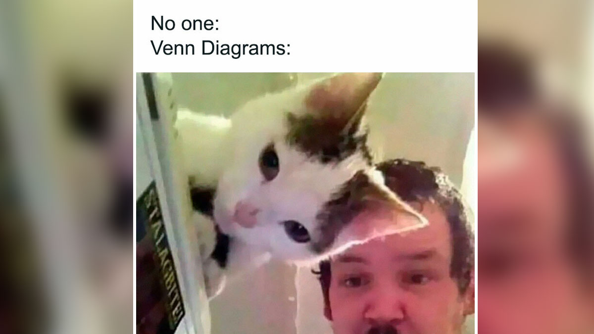 38 funny memes if you like all kinds of science
