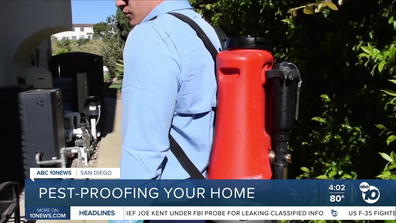 Pest-proofing your home