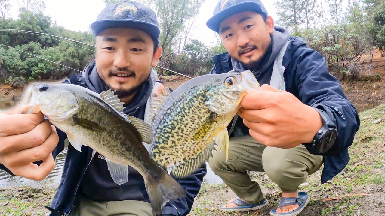 Amazing freshwater fishing spot | Reunited