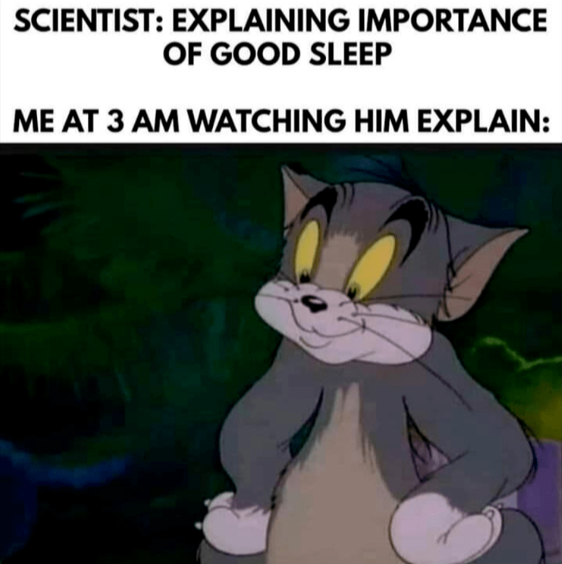21 memes for people who thrive after midnight like it's normal