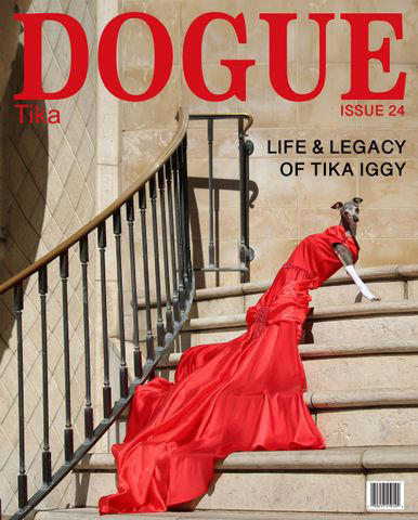 Vogue publisher suing parody dog fashion magazine Dogue