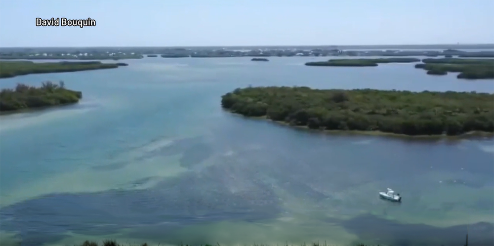 Community reacts after DeSantis signs bill blocking cruise terminal in ...