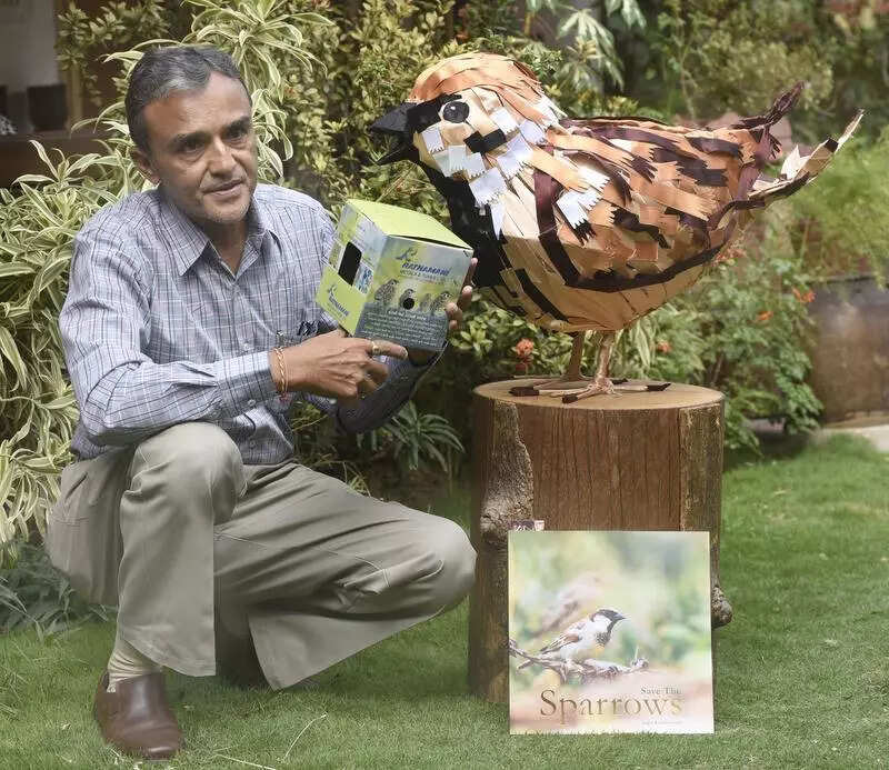 World Sparrow Day 2026: Save our companions, says 'Sparrow Man'