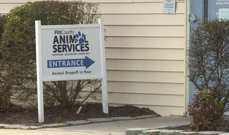 Pitt County Animal Services to temporarily close Friday due to surge in ...