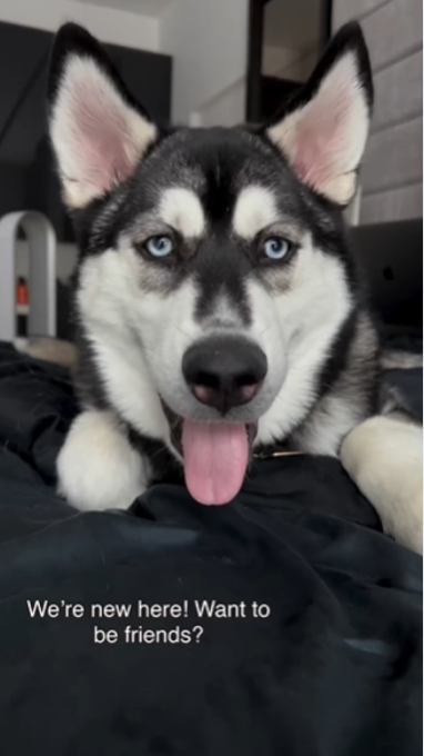 Looking for new friends but here is what I found