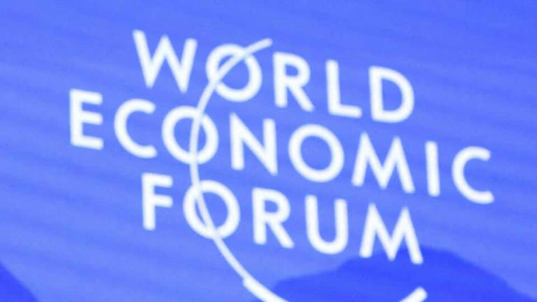 WEF to trim board members? Shake-up of trustees under consideration ...