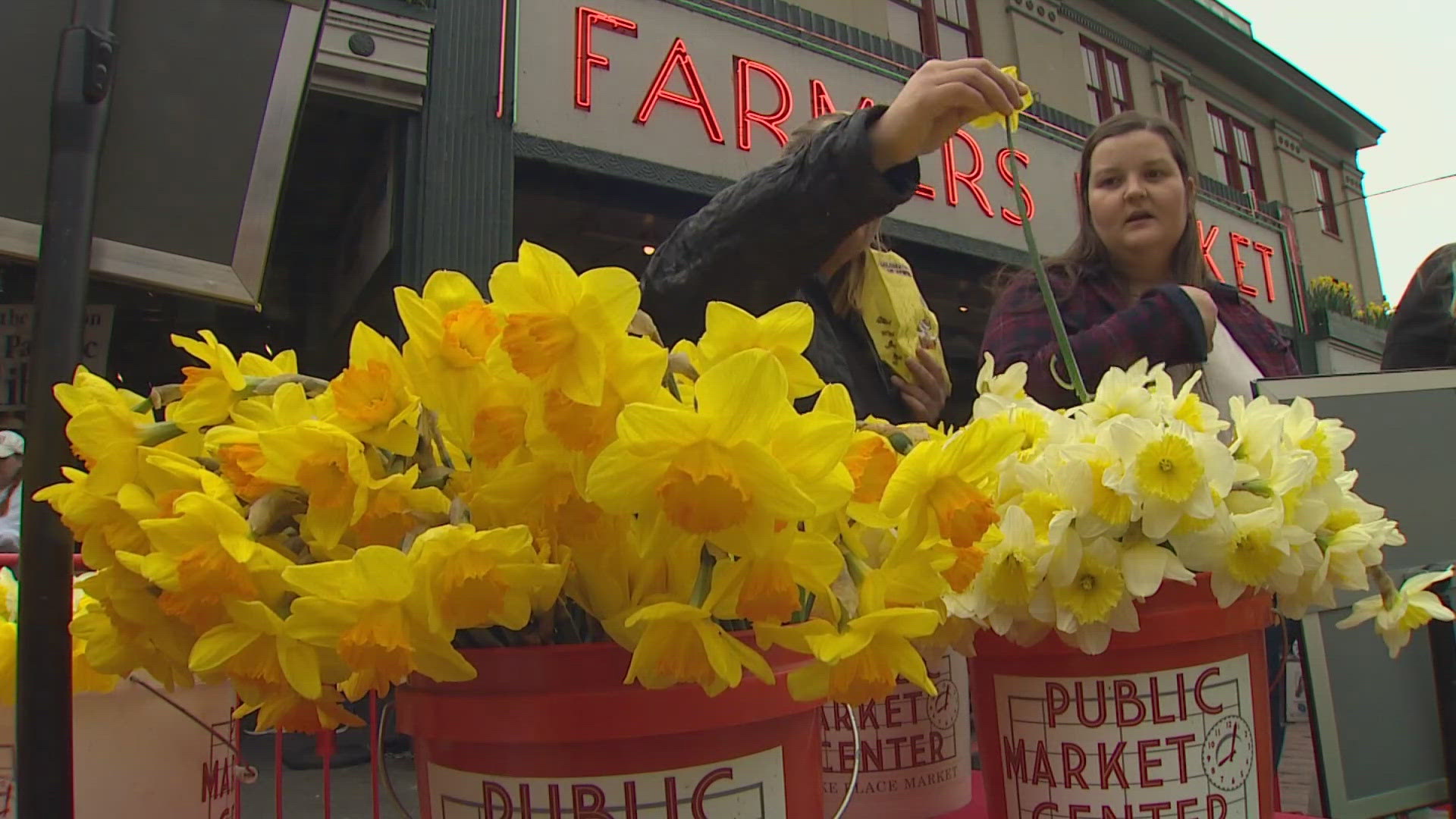 Friday is annual Daffodil Day at Pike Place Market