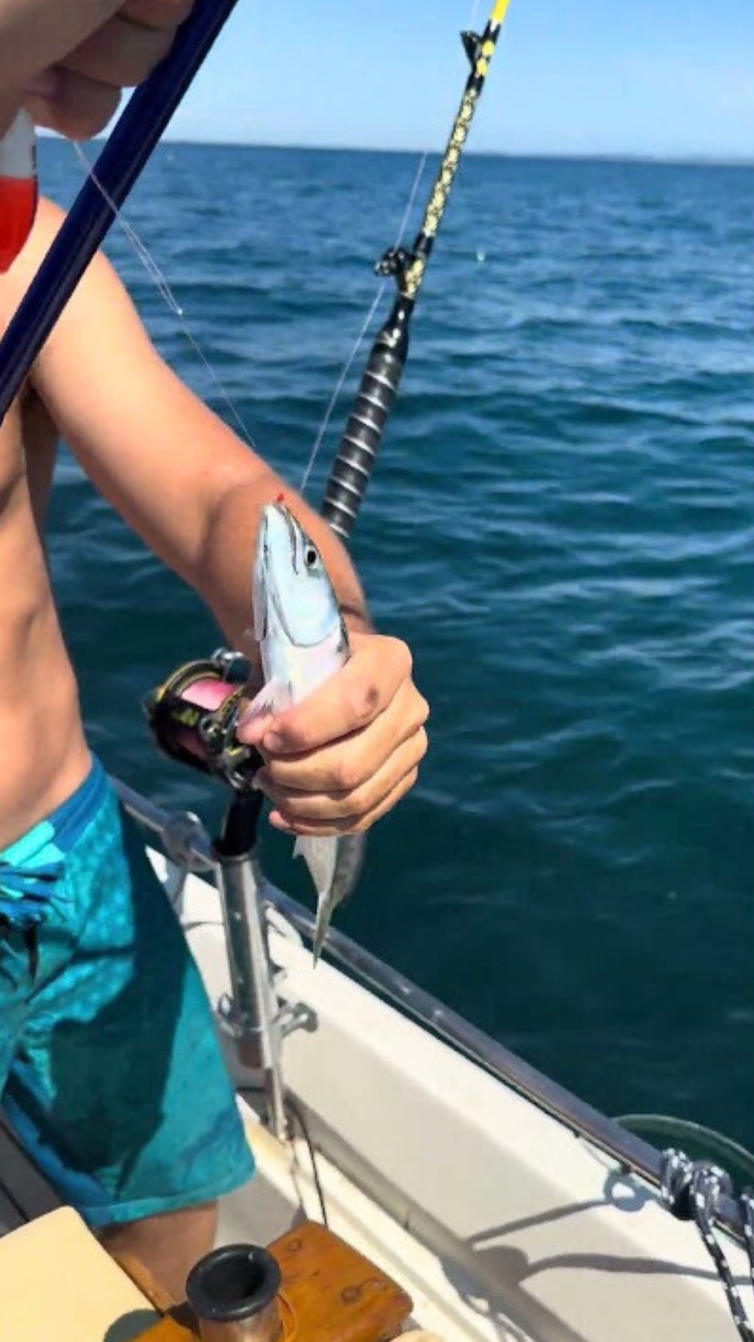 Canna Okuma Sabiki Pro in azione pesca sgombro
