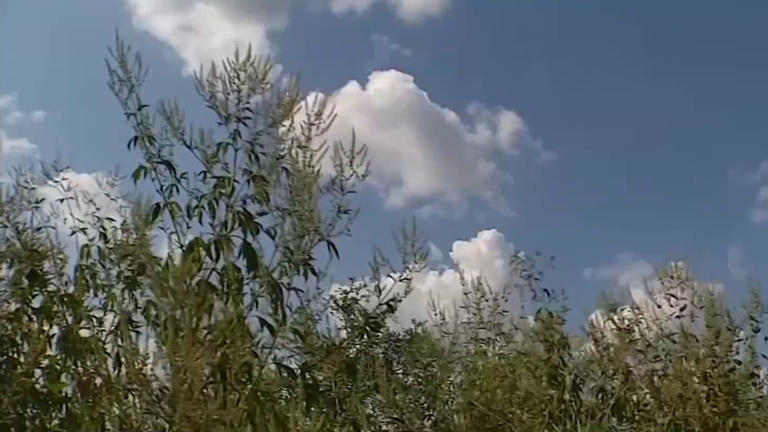 Storm Team4 forecast: Expect a rainy Friday evening, dry weekend and ...