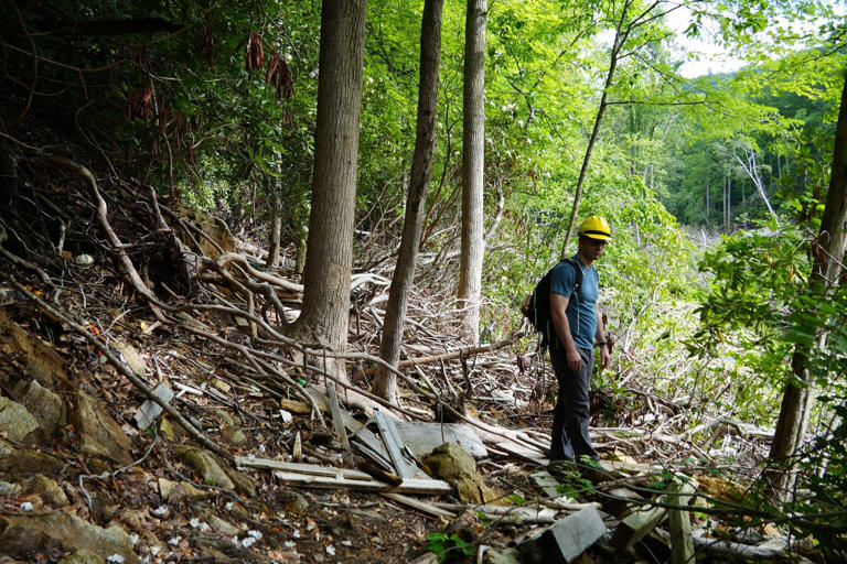 Pisgah Conservancy gets $8M grant for Helene trail, bridge repairs