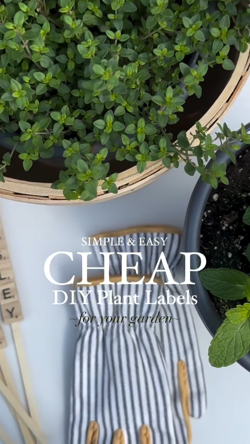 Unique plant labels that make your garden stand out