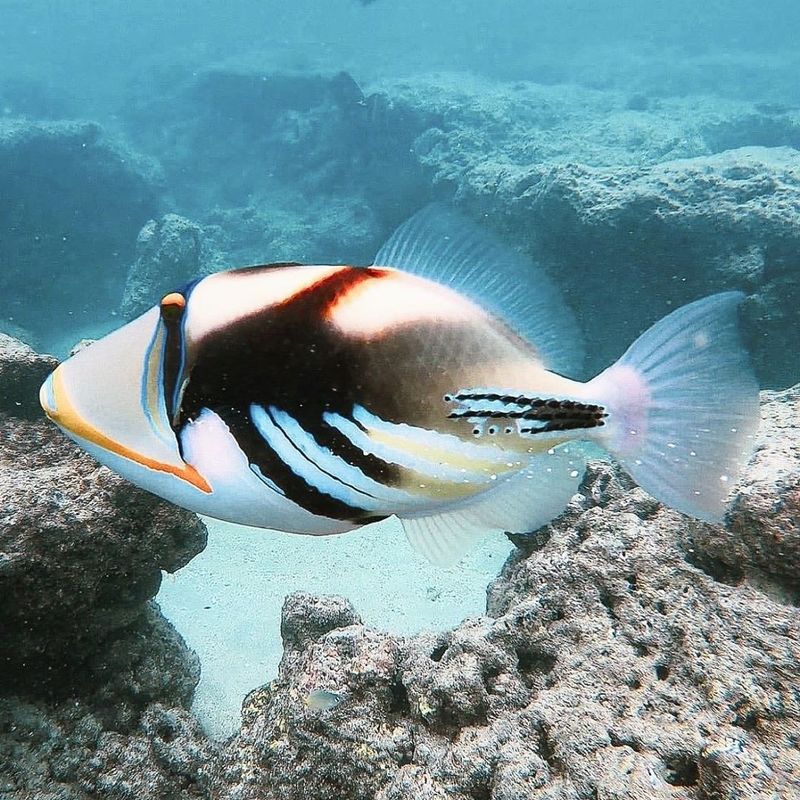 15 incredible things to see and do across Hawaii