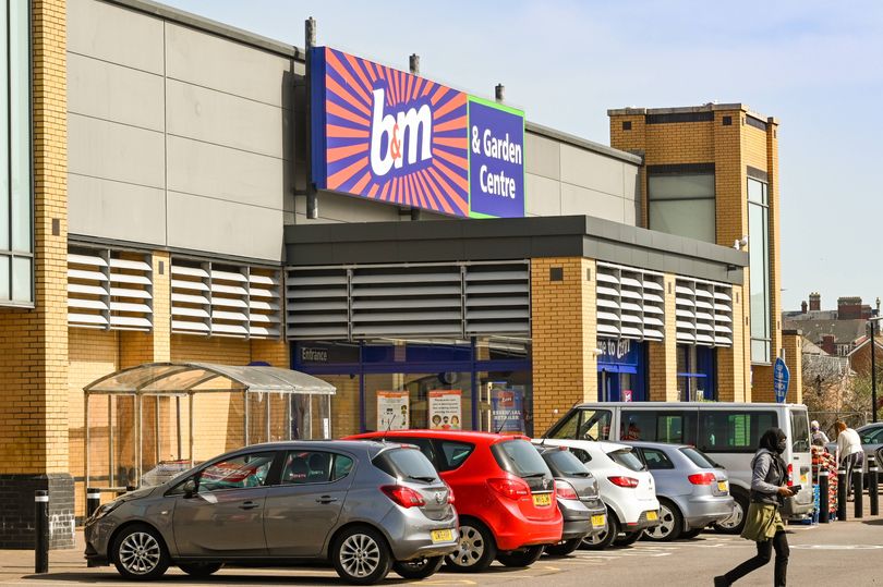 B&M shoppers 'dying' to get their hands on £5 plants perfect for ...