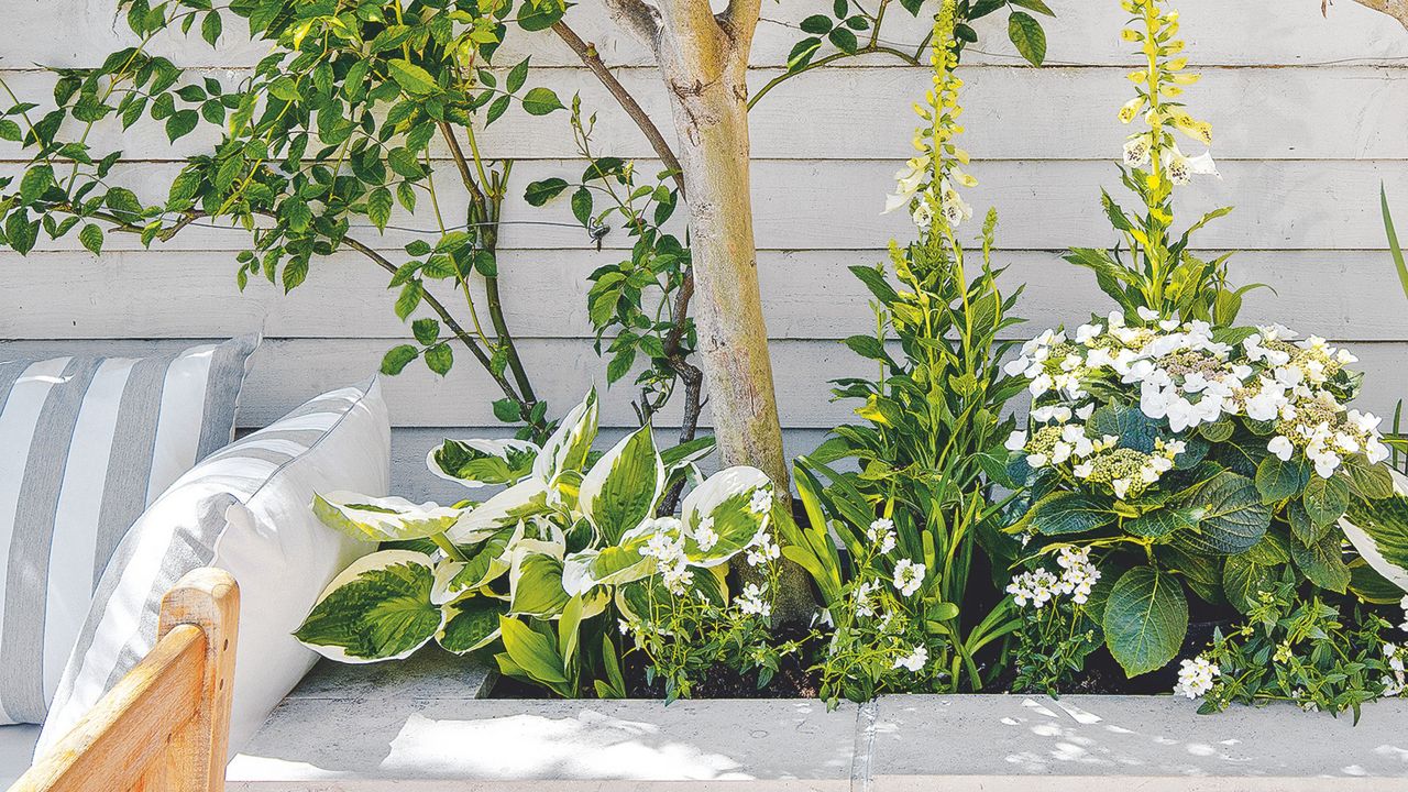 Gardeners are using this winter garden essential to keep their plants ...