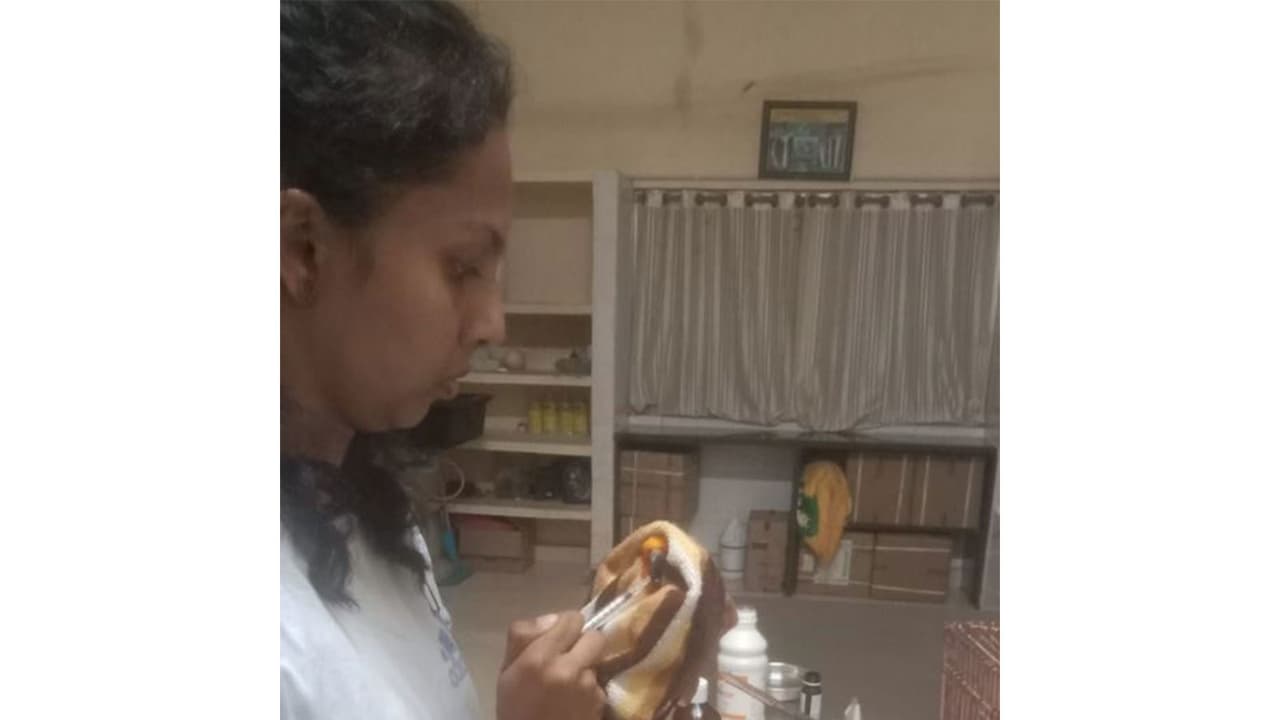 Karnataka vet killed in hippo attack at zoo, minister orders probe