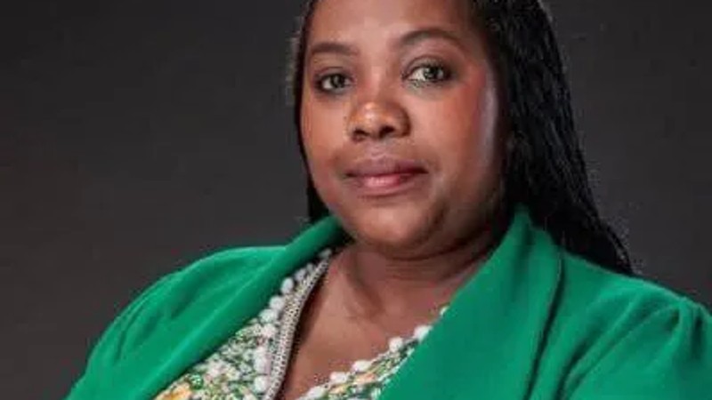 Madlanga Commission revelations: Tshwane MMC now also suspended from ...