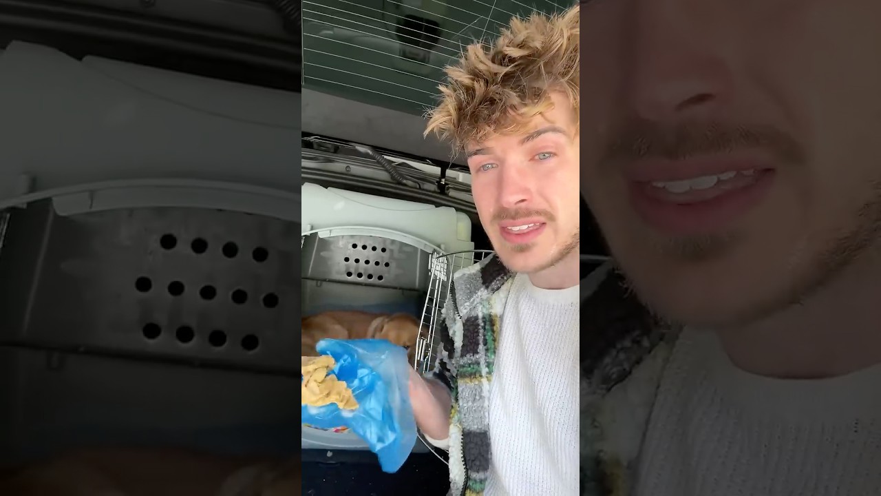 I found a hungry stray dog eating trash and saved her life