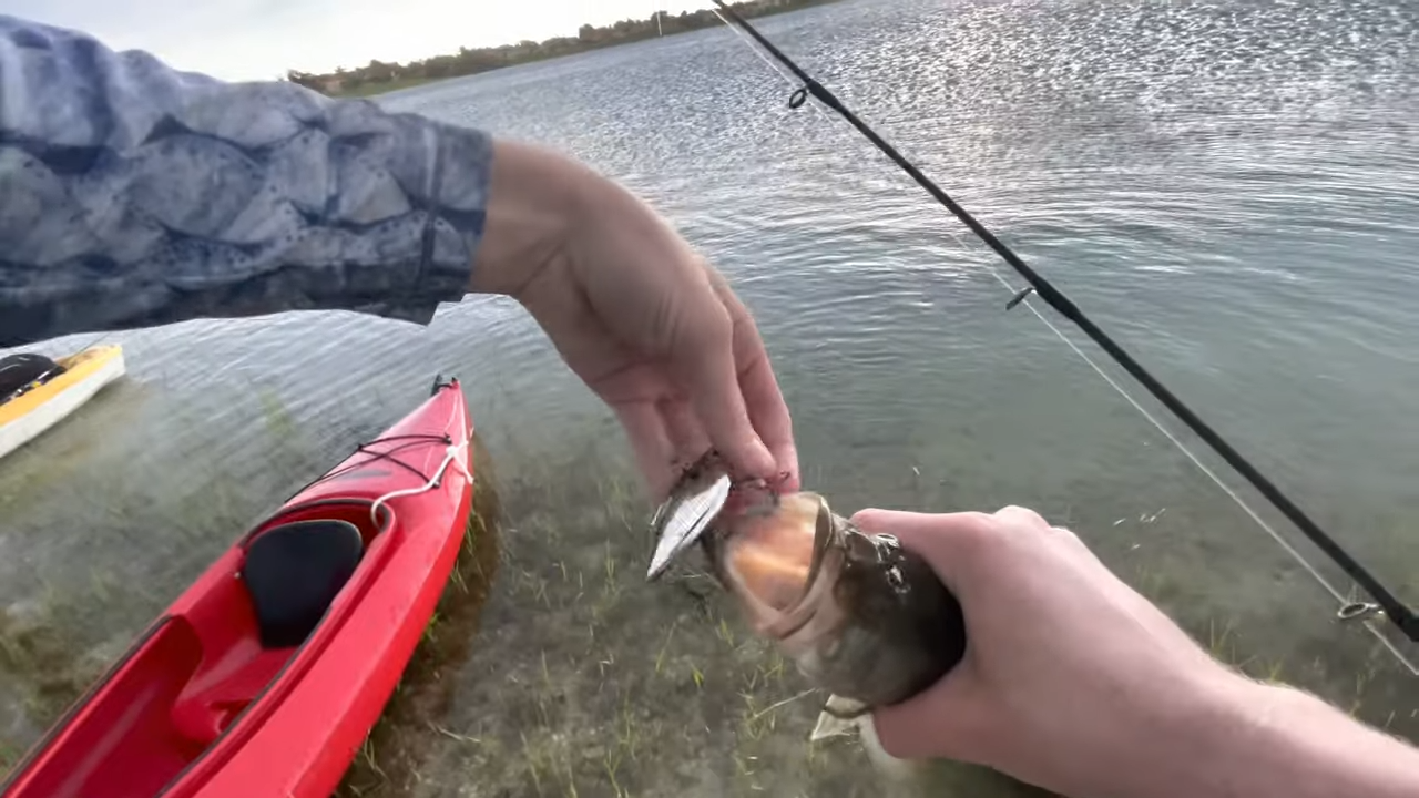 Crystal clear lake hiding something aggressive