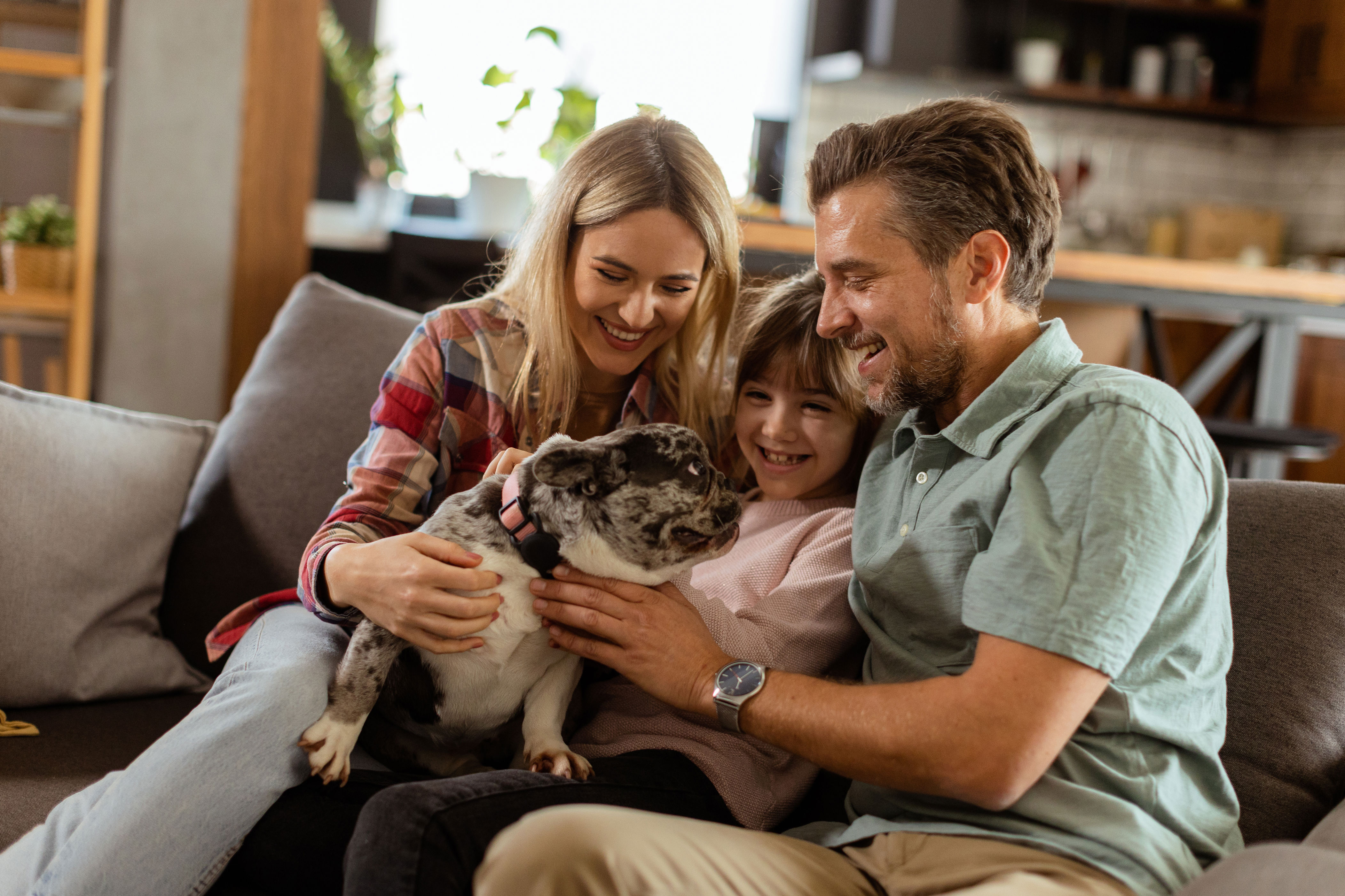 20 ideal dog breeds for families