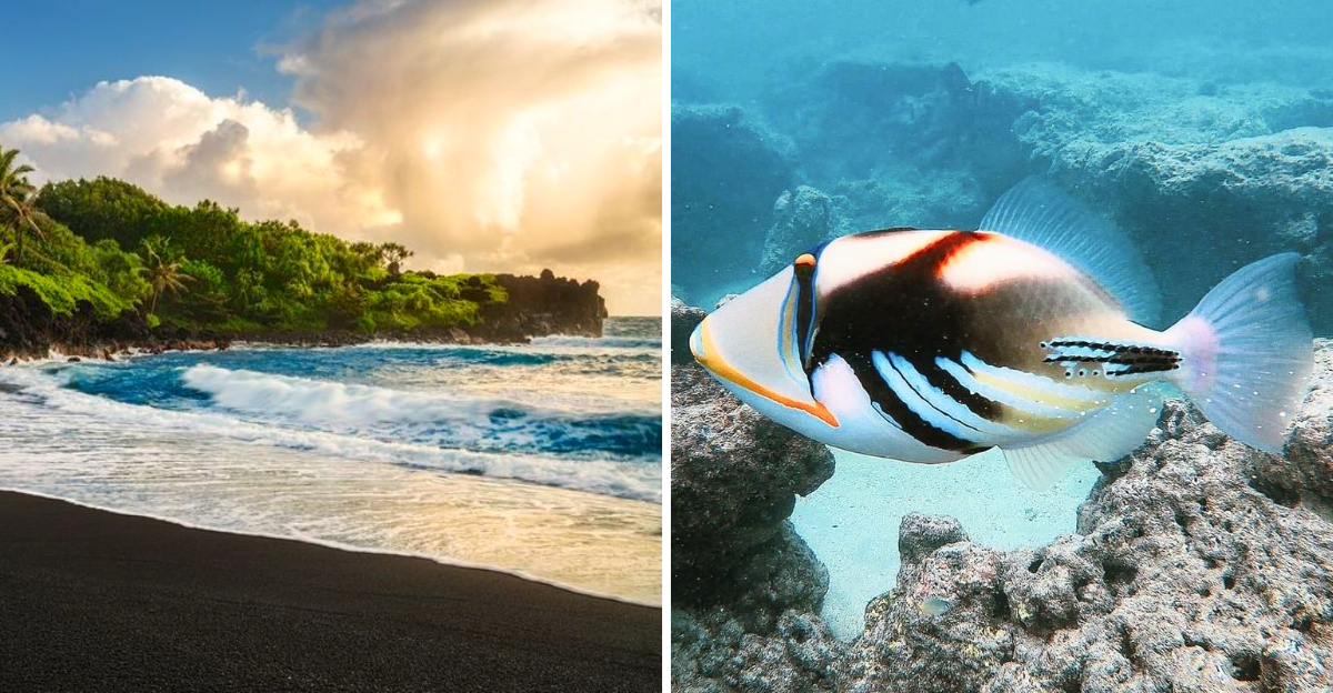 15 incredible things to see and do across Hawaii