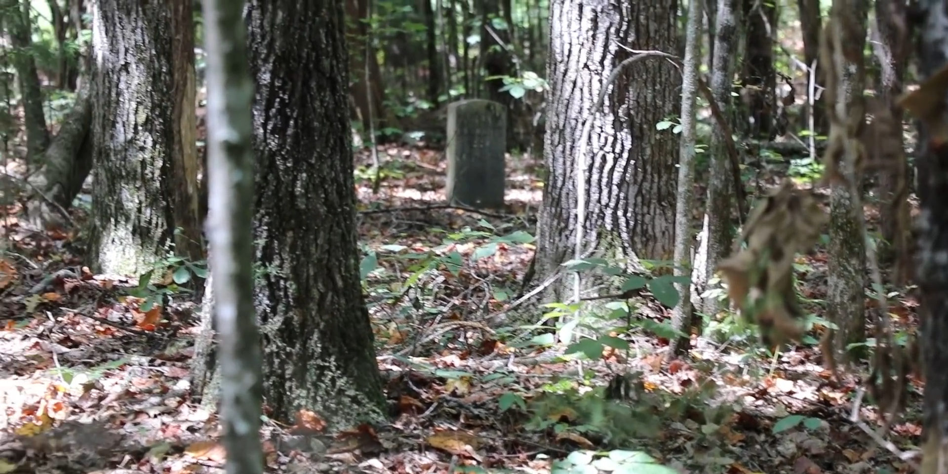 They got lost - then the woods revealed hundreds of unknown graves
