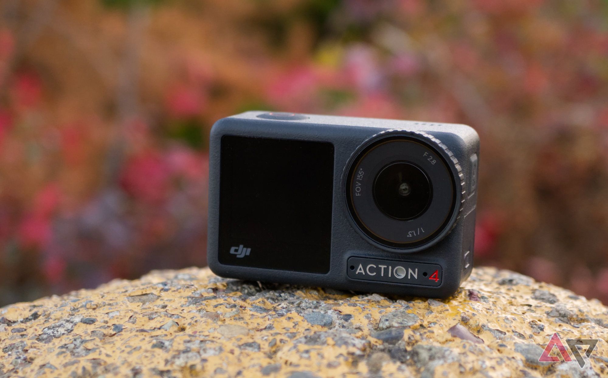 The price just crashed on this DJI 4K action camera, so what are you ...