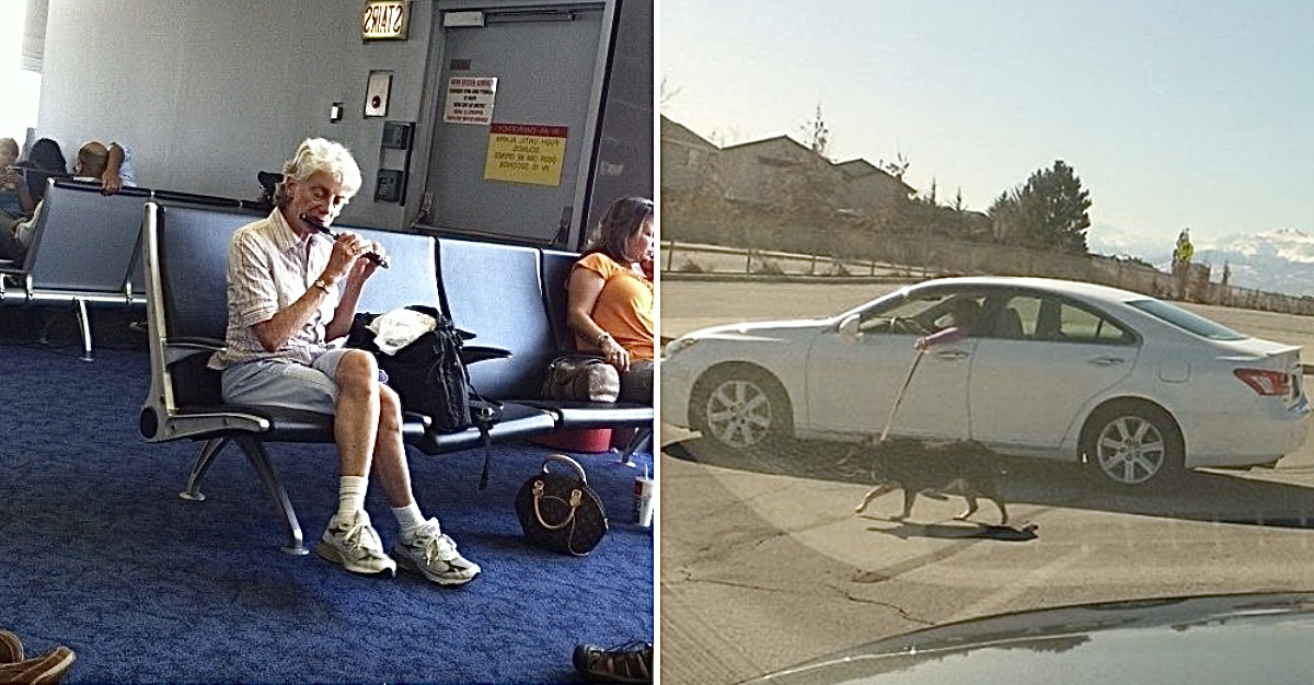 20 pics of common sense getting it all wrong