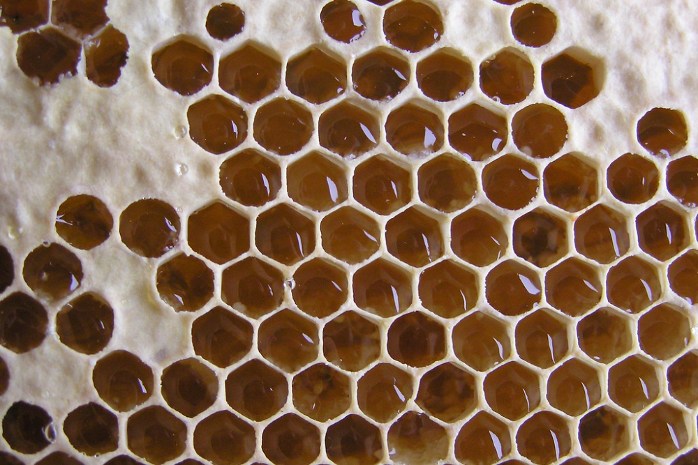 16 times nature created perfectly symmetrical objects