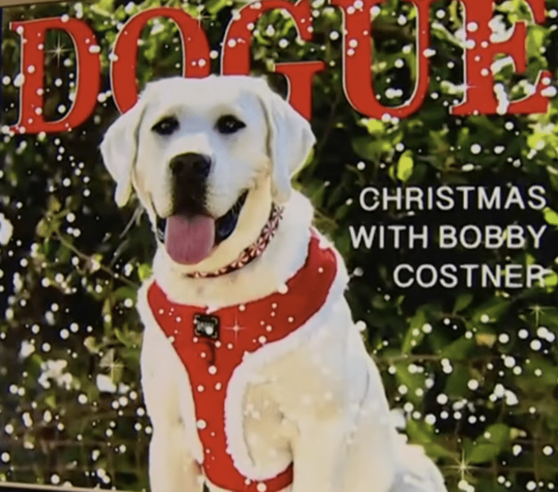 Dogue is in hot water with Vogue