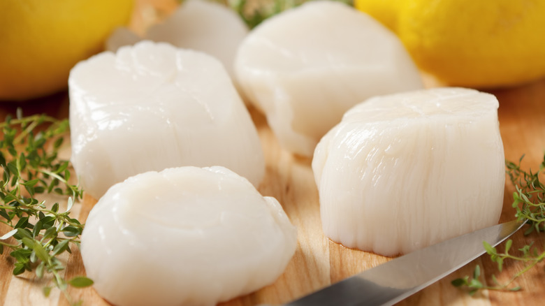 14 mistakes almost everyone makes with scallops