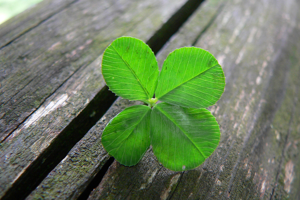 16 times nature created perfectly symmetrical objects