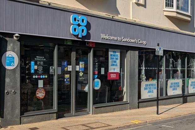 Woman began four-day theft spree the day after being sentenced for ...