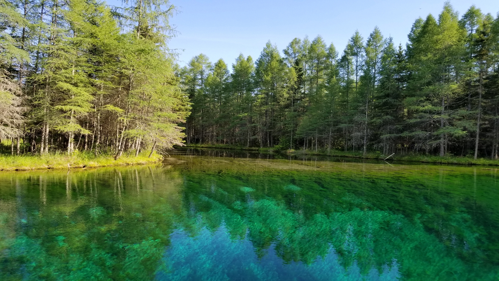 Travelers find culture and nature combined in a lesser-known Texas city