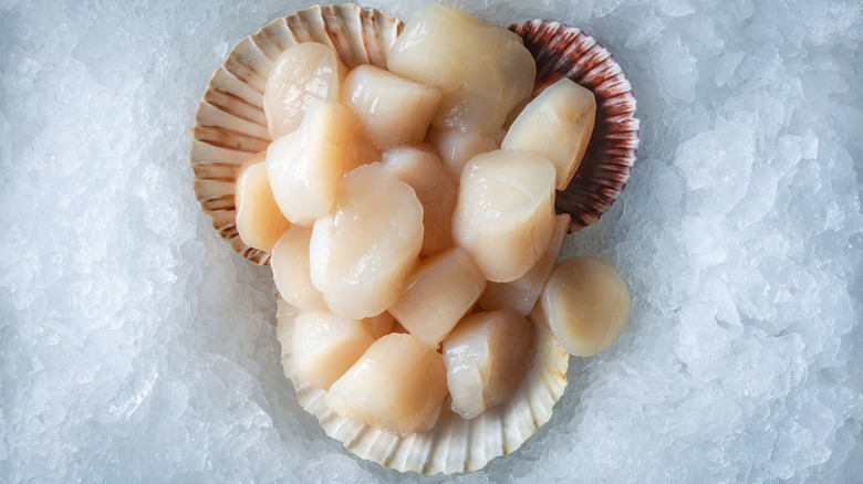 14 mistakes almost everyone makes with scallops