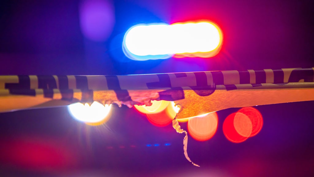 Police officer fatally shoots loose dog, injures owner in Pennsylvania ...