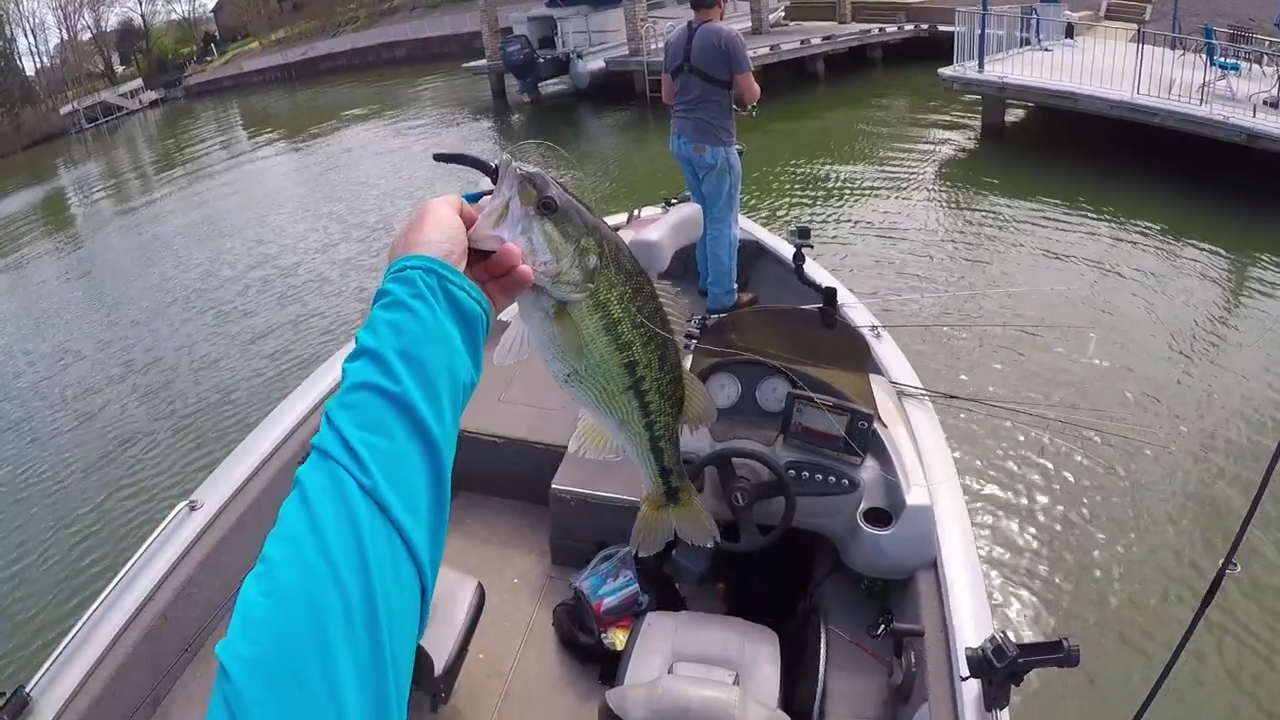 He grabbed it… spit it… then came back angry