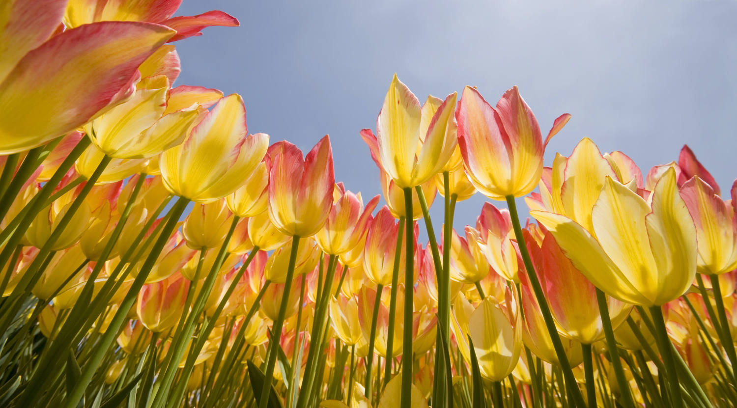 The spring equinox is bringing luck to these 4 zodiac signs