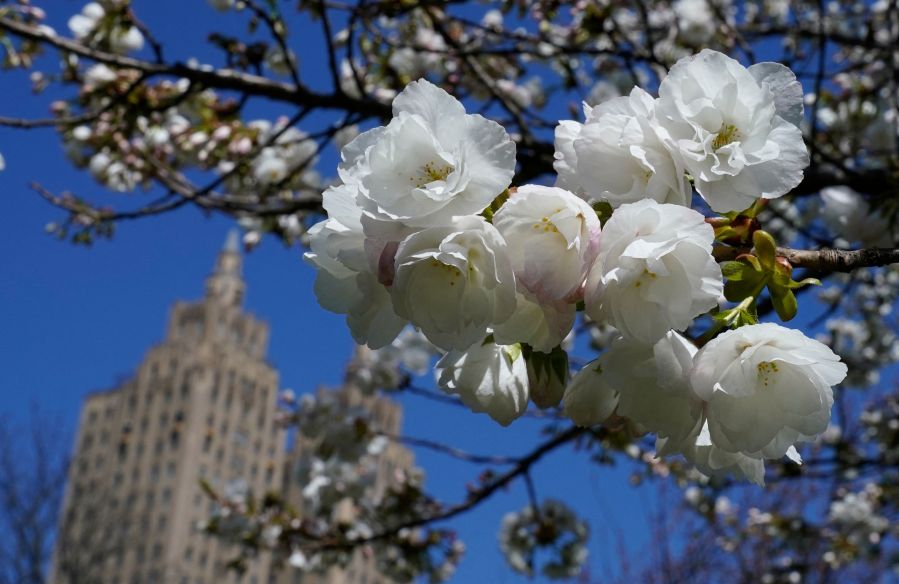 Spring officially arrives on Friday: A closer look