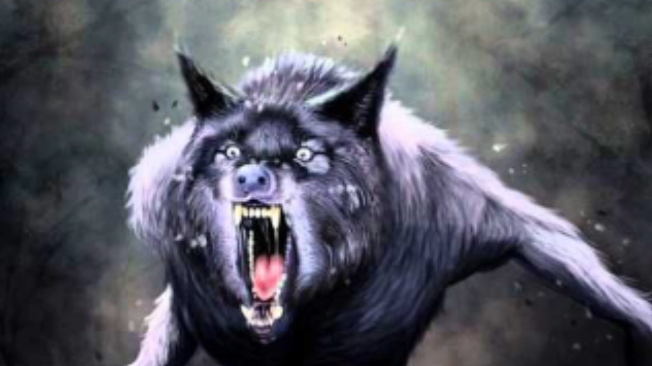 A town hunted a beast in the woods and found someone unexpected