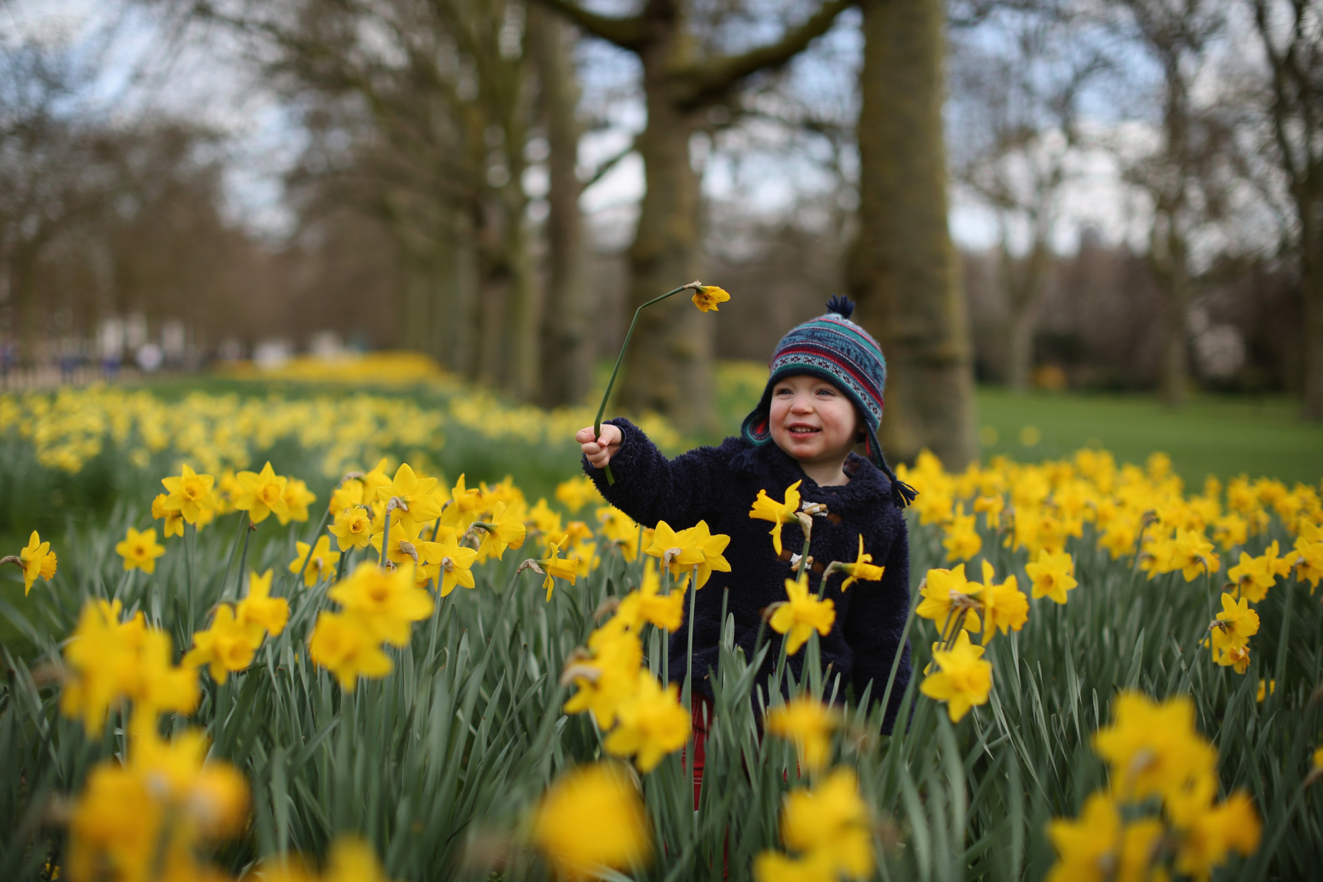 The best places to see the spring blossom in the UK